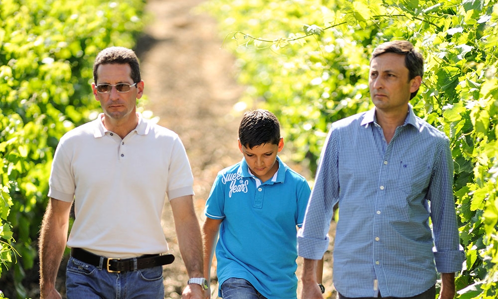 Morgante - Italy's Finest Wines