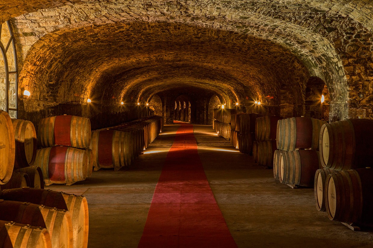 Cantina Bolzano - Italy's Finest Wines