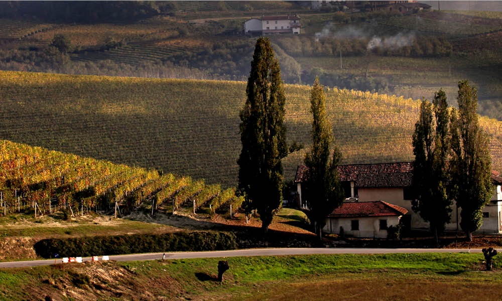 Poderi Colla - Italy's Finest Wines