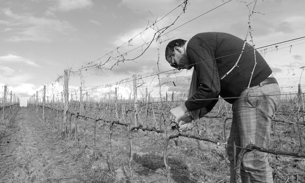 Leuta - Italy's Finest Wines