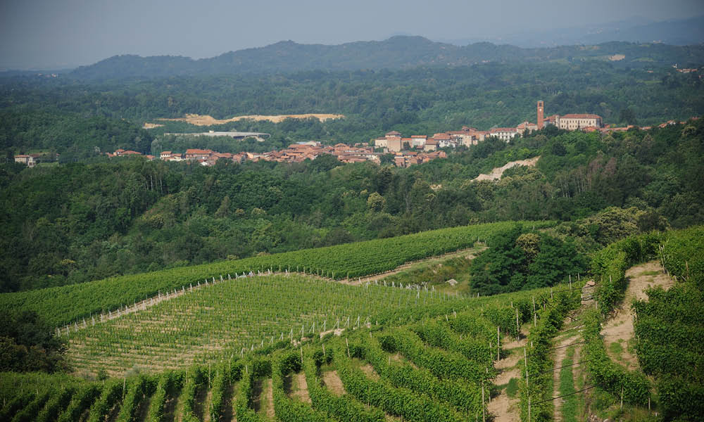 Travaglini Gattinara - Italy's Finest Wines