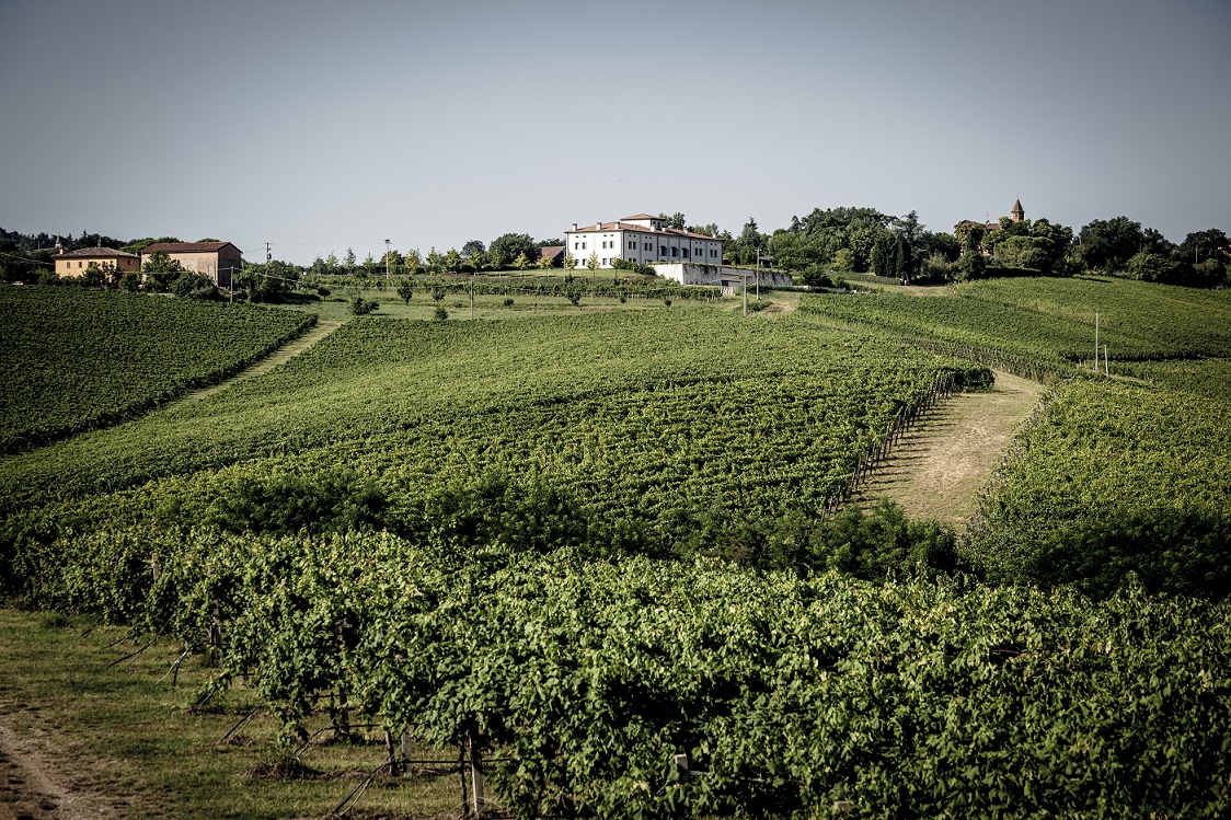 Vini di Umberto Cesari - Italy's Finest Wines