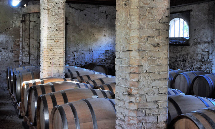 Vini di Reguta - Italy's Finest Wines