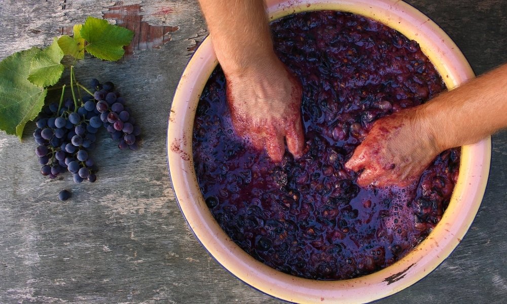 How to make Homemade Wine in 10 Simple Steps - Italy's Finest Wines