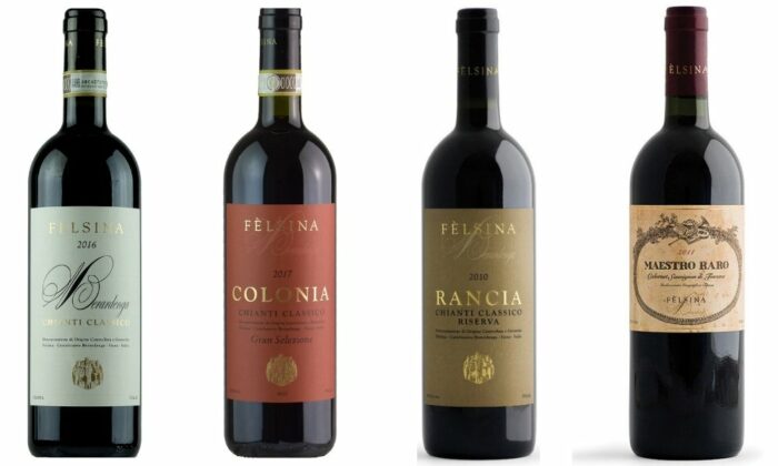 Fèlsina - Visit & Wine Tasting