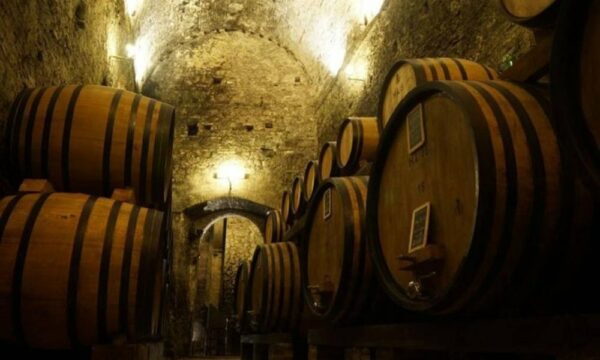 Migliori 10 Cantine da Visitare a Montepulciano (2024)