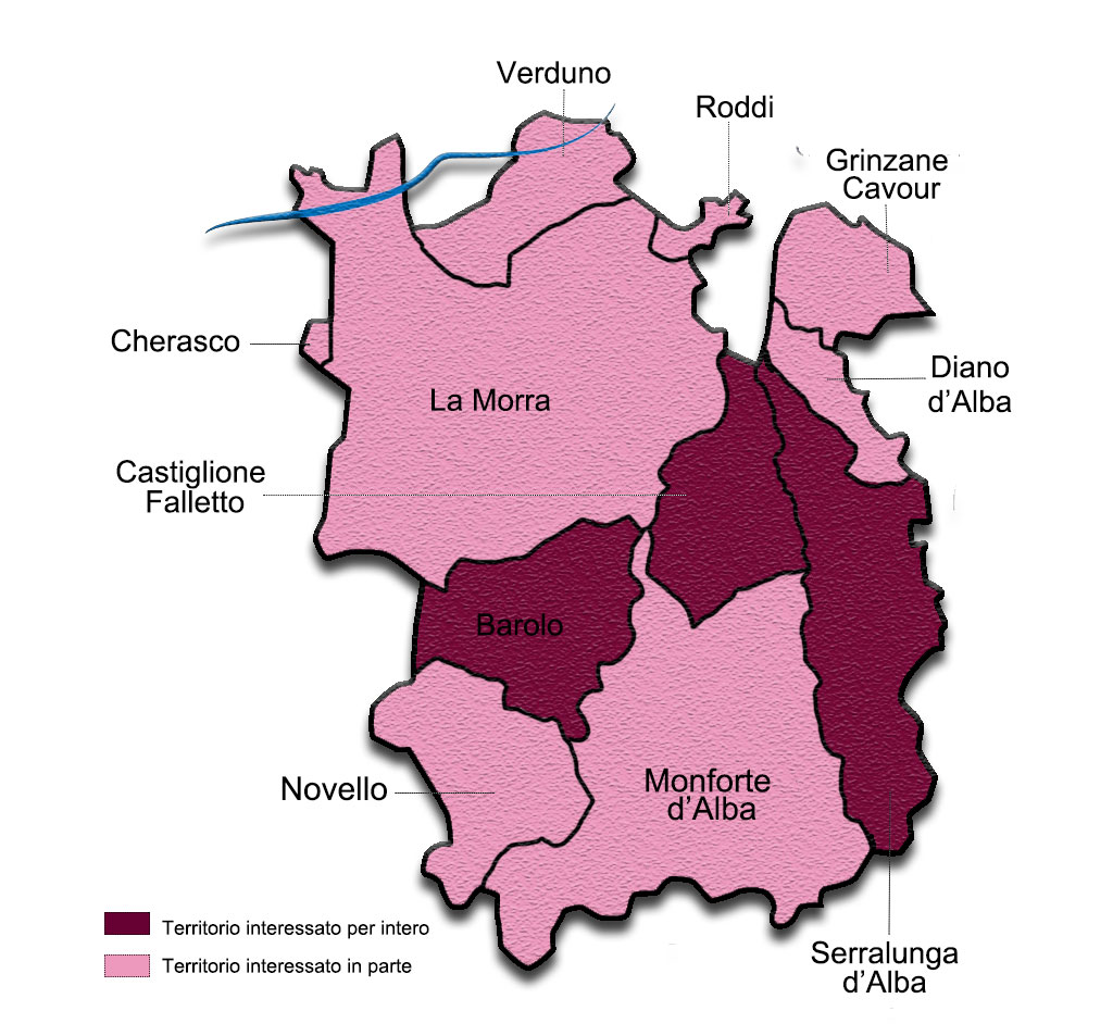 Migliori 10 Cantine da Visitare nelle Langhe | Visita & Degustazione