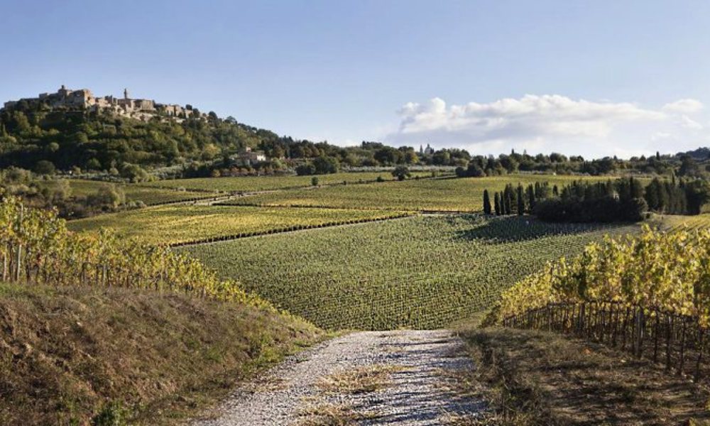 Vini di Canneto (Montepulciano) - Italy's Finest Wines
