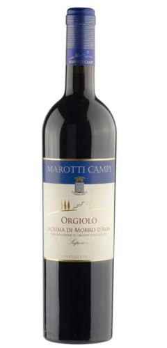 Marotti Campi - Visita in cantina & Degustazione