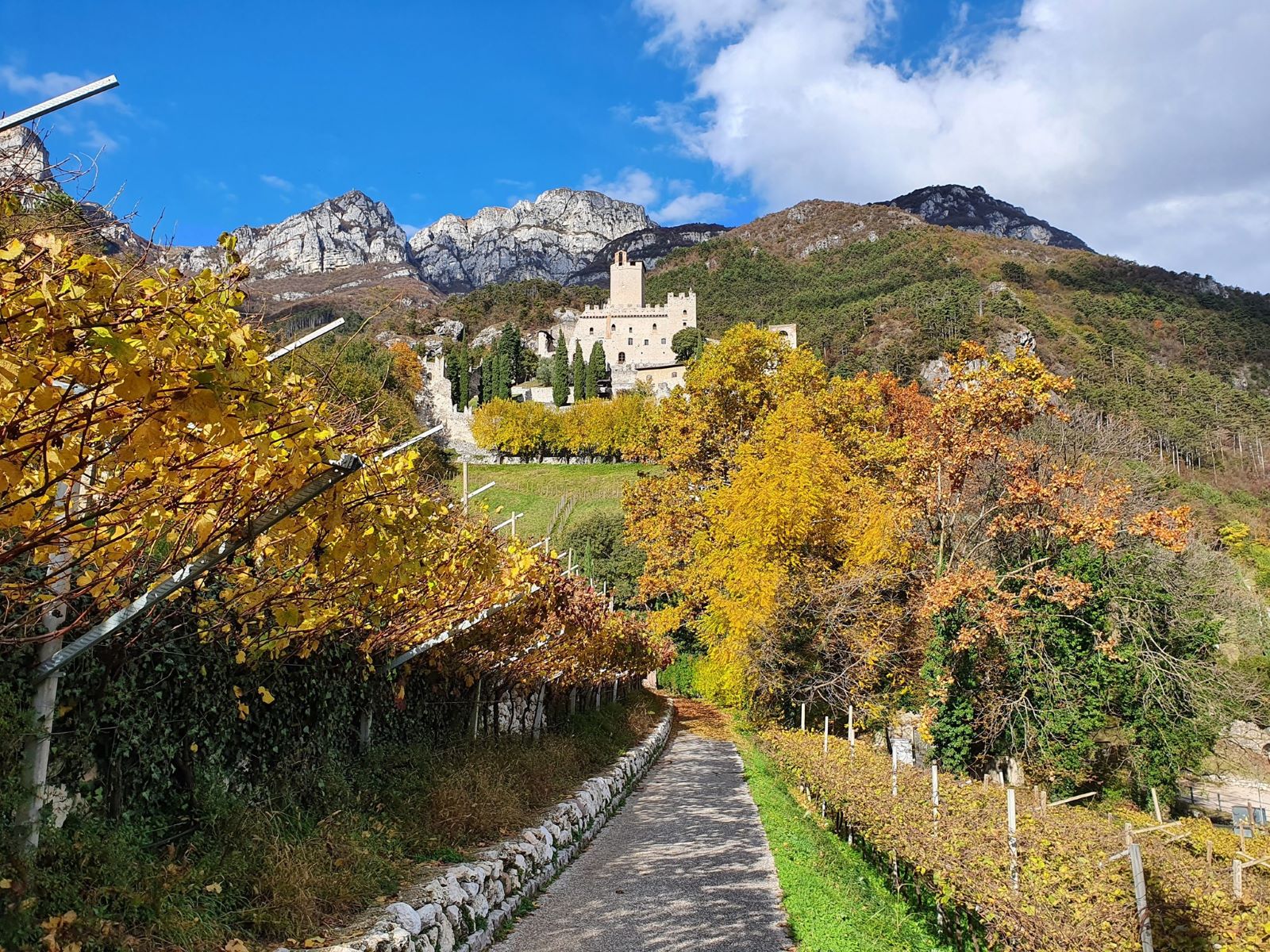 DiVin Ottobre: Un'autunno Gustoso in Trentino - Italy's Finest Wines