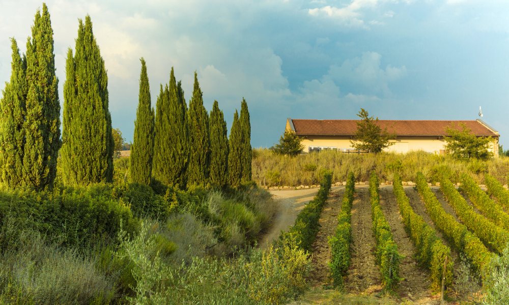 Fattoria di Magliano -Visit & Wine Tasting