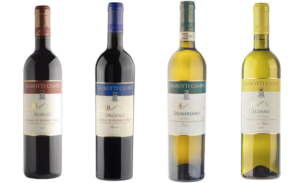 Marotti Campi - Visita in cantina & Degustazione