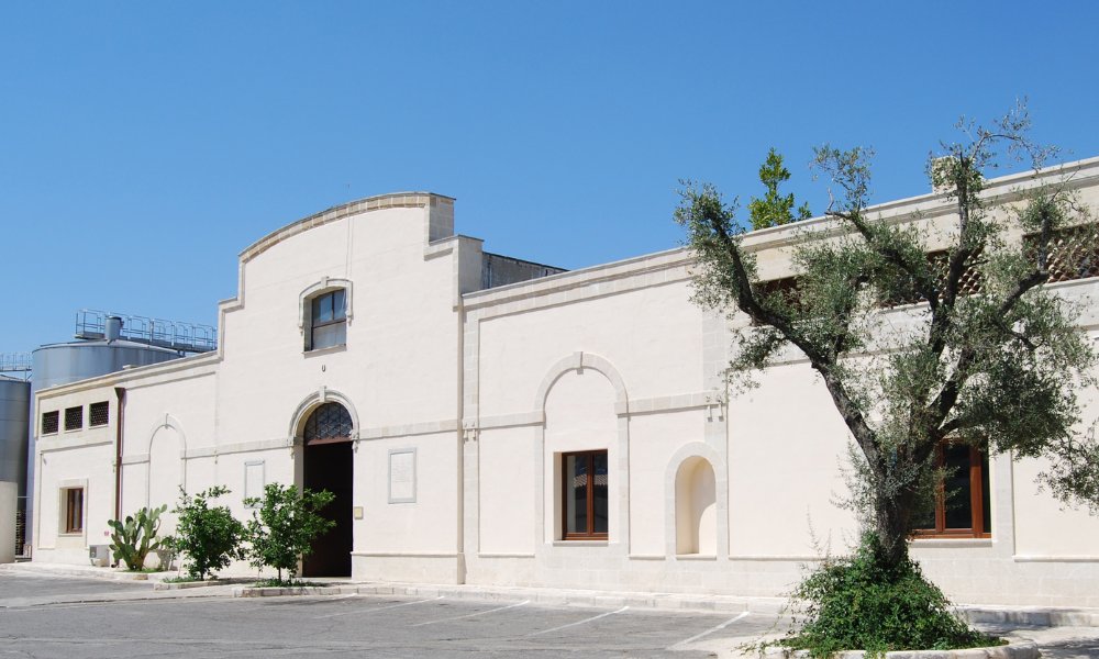 Vini di Produttori di Manduria - Visita in Cantina & Degustazione Vini