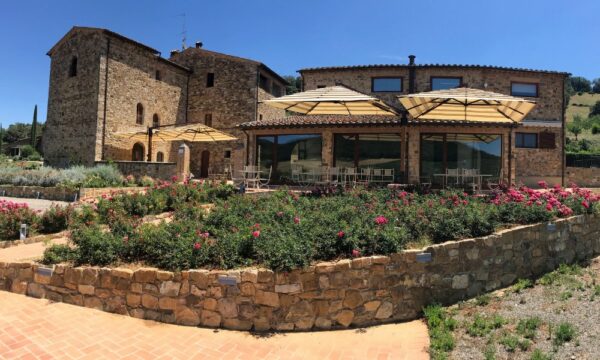 Tenuta Fanti (Montalcino) - Wine Tasting & Tour