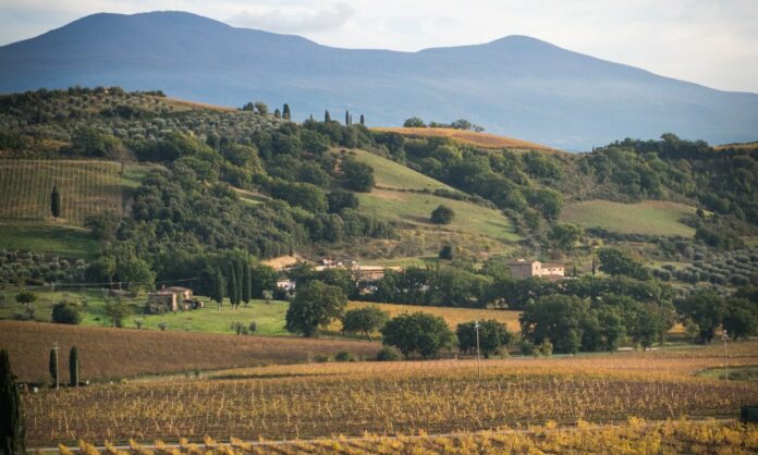 Tenuta Fanti (Montalcino) - Wine Tasting & Tour