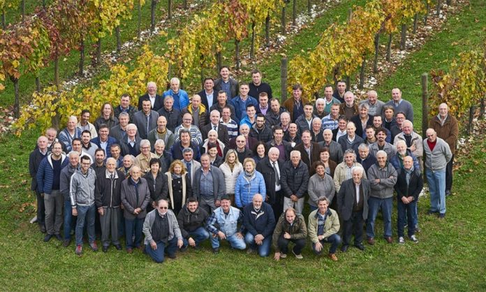 Cantina Produttori di Cormòns - Visita & Degustazione Vini