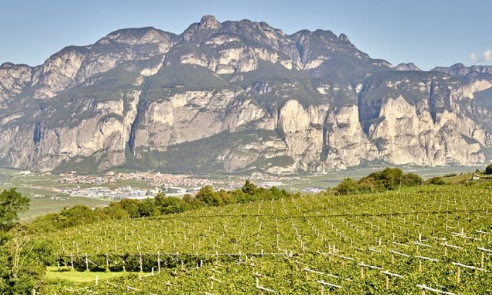 Cesarini Sforza - Visita in Cantina & Degustazione Vini