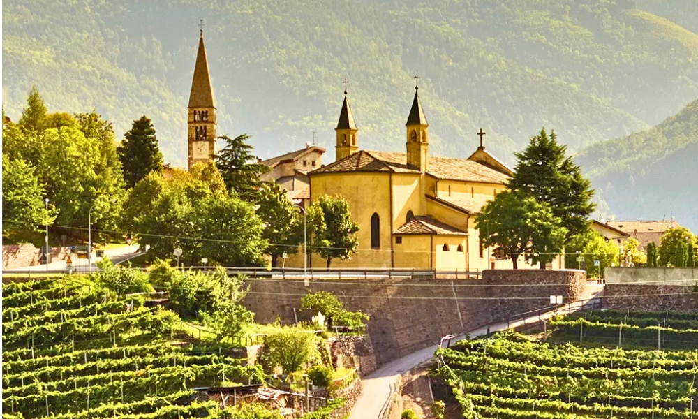 Cembra Cantina di Montagna - Italy's Finest Wines